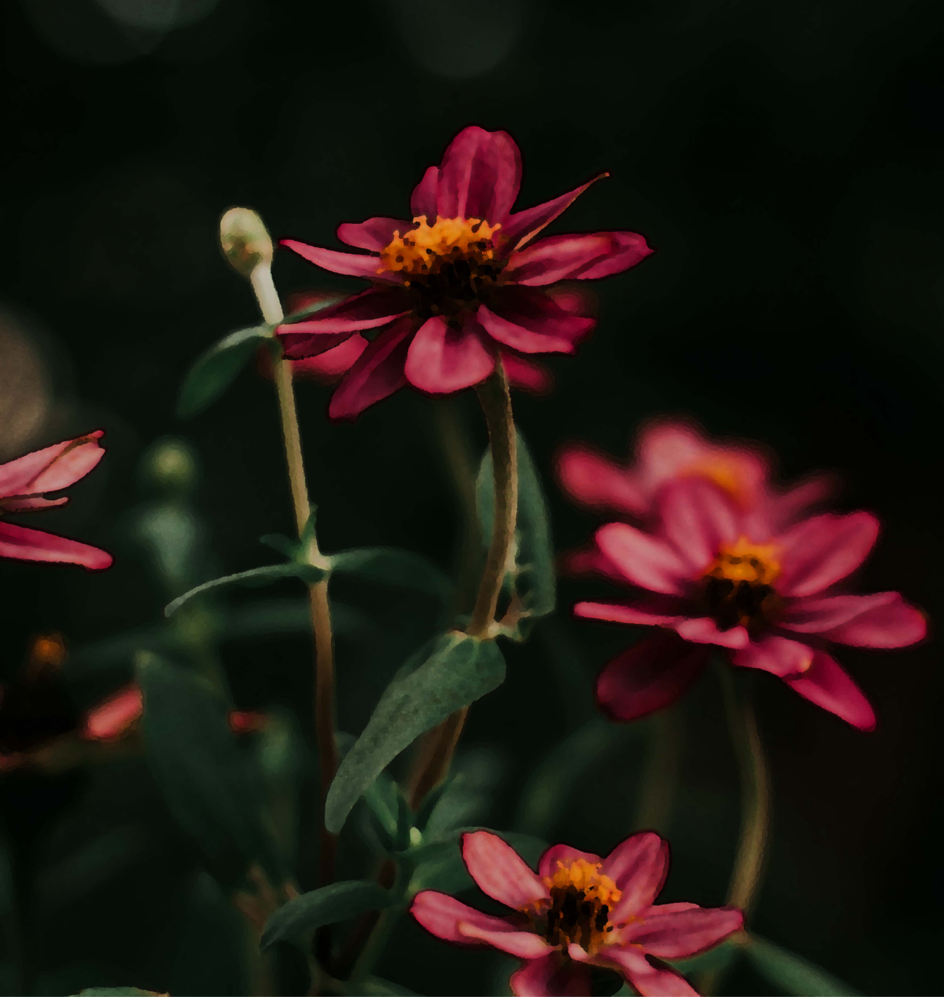 About - Revisiting our Past