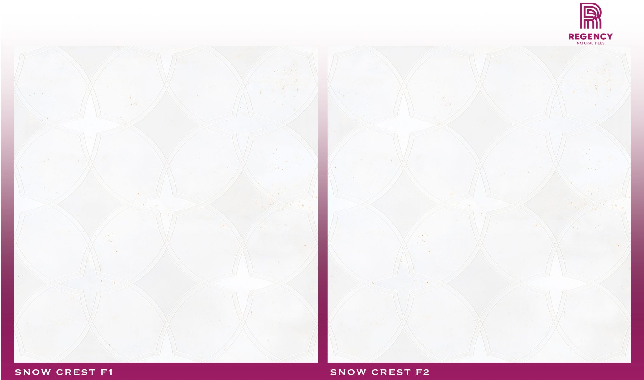 SNOW CREST - (600X600) - GVT - CARVING - Regency Ceramics